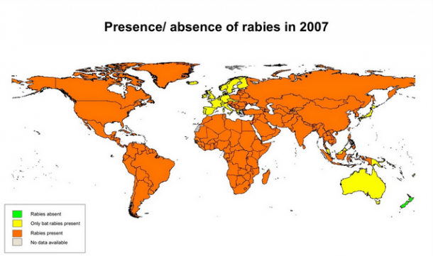 La rabia en nuestro pais y en la actualidad | El blog de los clientes JG